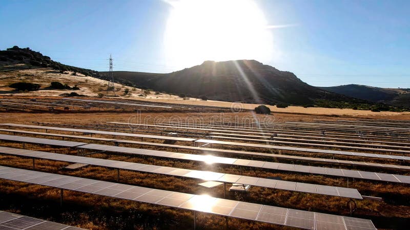 Solar Panel Bank in the Process of Producing Efficient and Renewable ...