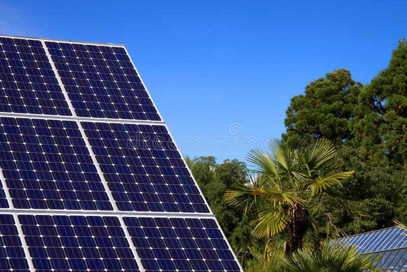 Solar Panels with Tree Reflection Stock Photo - Image of panel, pattern ...