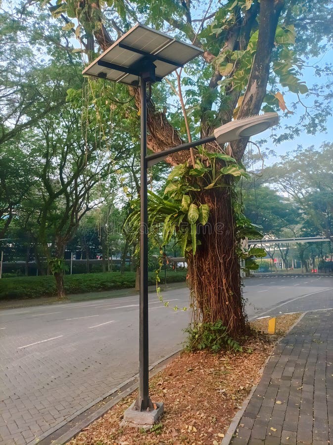 Solar Panel Device with Street Lamp on Background of Trees and Blue Sky ...