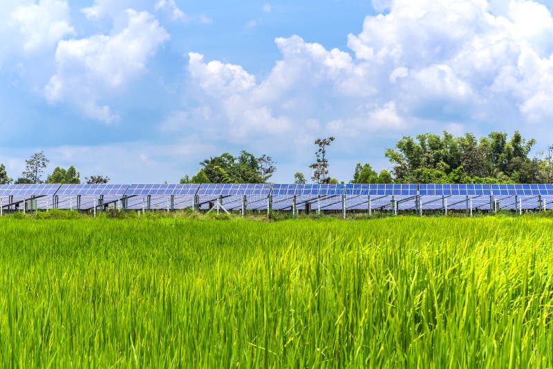 Solar Panel Ecological Power Stock Image - Image of generator, farm ...