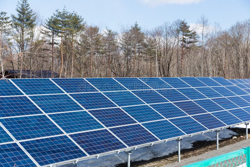 Solar panel in forest stock photo. Image of panel, forest - 67656856
