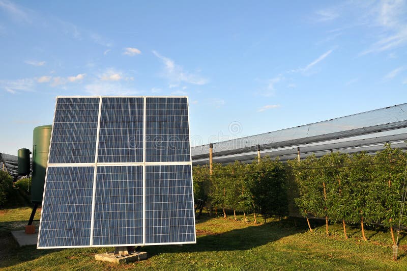 Solar Panel for Generating Electricity in the Apple Orchard with ...