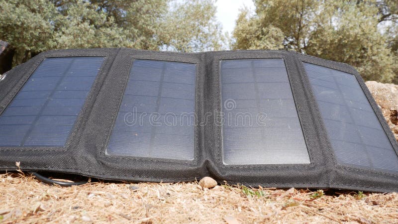 Solar Panel among the Grass and Trees at Sunset Stock Photo - Image of ...