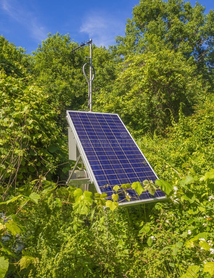 Solar Panel in Green Setting Stock Image - Image of tree, outdoor: 55816399