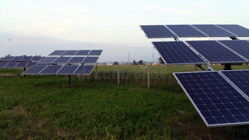 High Power Drawing Palisade Cell Stock Photos - Free & Royalty-Free ...