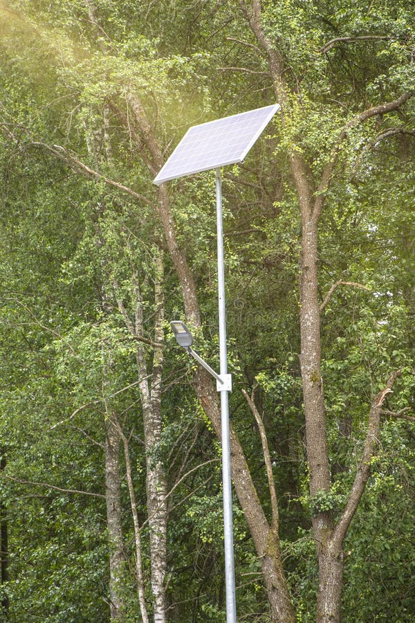 The Solar Panel is Located in the Forest, it Gets Sunlight, Eco ...