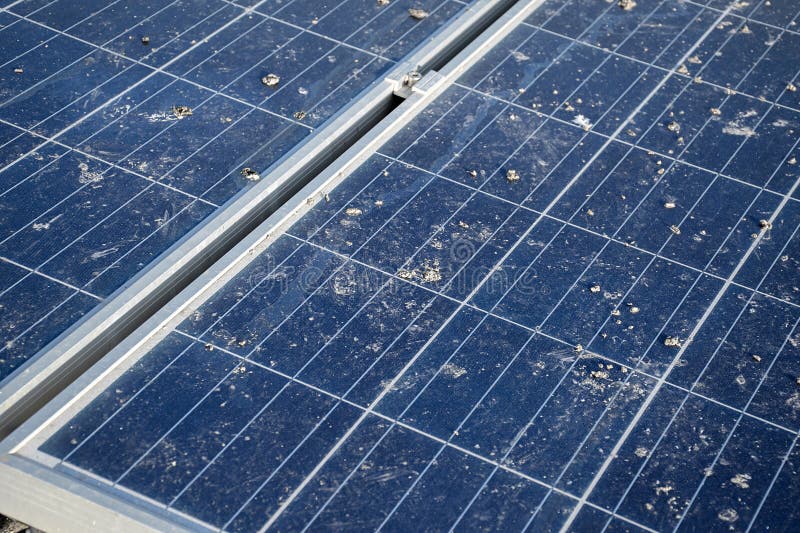 151 Bird Droppings Panel Solar Stock Photos - Free & Royalty-Free Stock ...