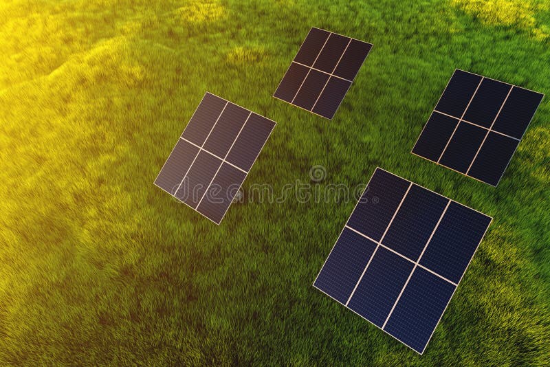 Solar Panel Modules at Sunset in a Field Against a Background of Green ...