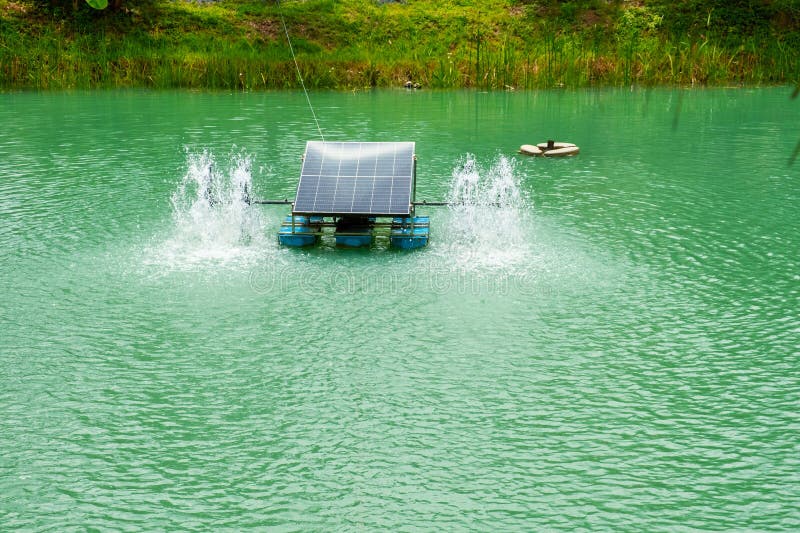 Solar Panel Mounted on Floating Platform with Paddle Wheel Aerators ...