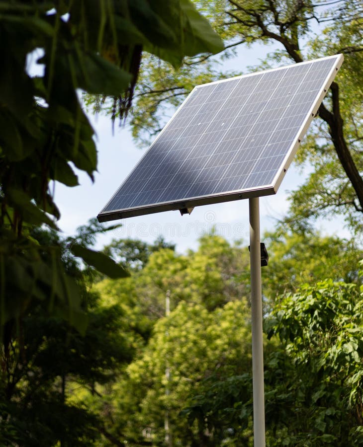 Solar Panel on Poles Near Trees Stock Image - Image of environment ...