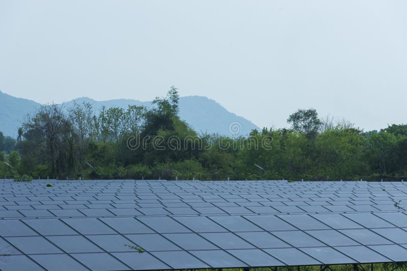 Solar Panel at Solar Power Plant To Innovation of Green Energy for Life ...