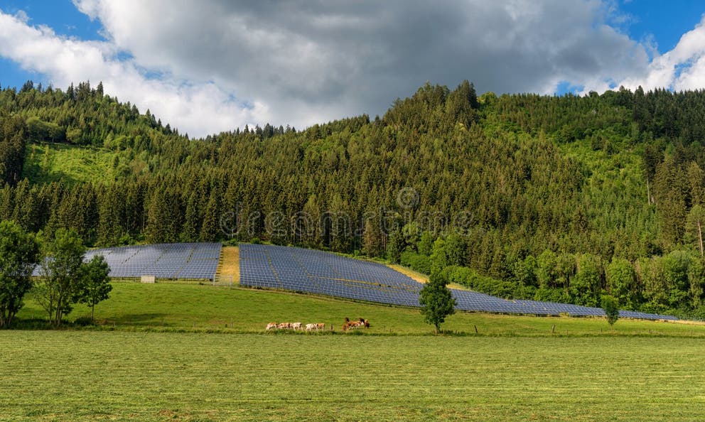Solar Panel Power System in a Countryside by the Forest Stock Photo ...