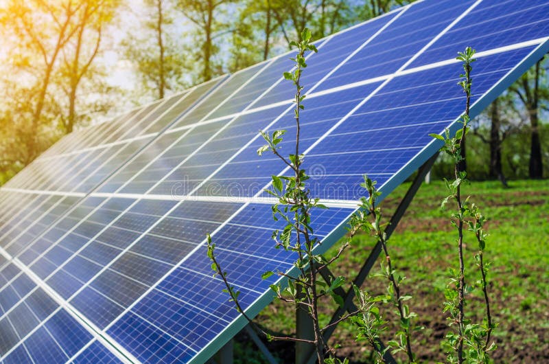 Solar Panel Produces Green, Environmentally Friendly Energy from the ...