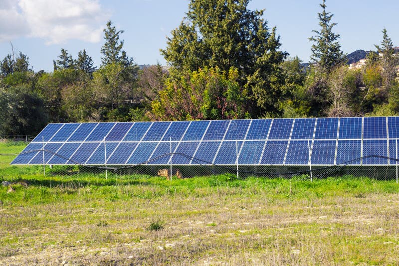 Solar Panel Produces Green, Environmentally Friendly Energy from the ...