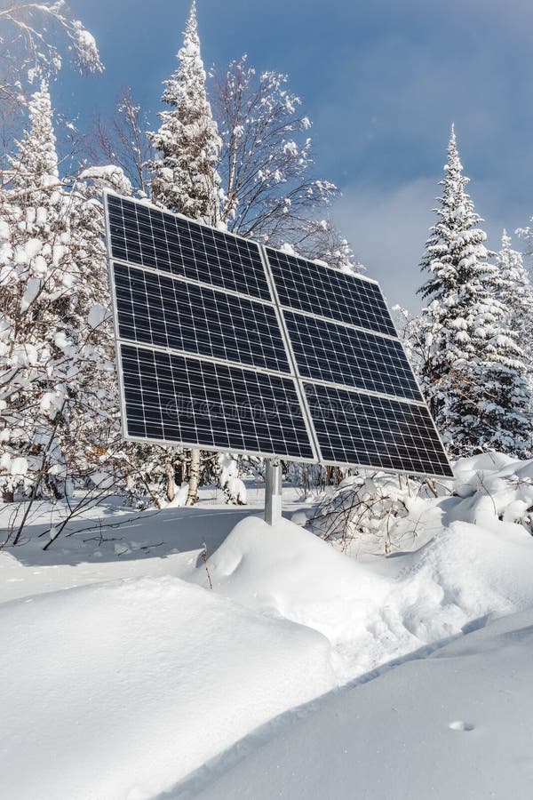 Solar Panel with Snowy Forest on Winter Day Stock Image - Image of ...
