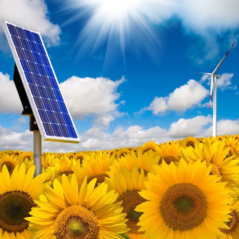 Solar Panel and Wind Turbine Stock Image - Image of ecological ...