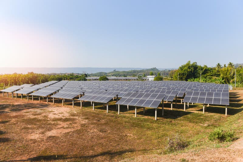 Solar Panels in the Solar Farm with Green Tree and Sun Lighting Reflect ...