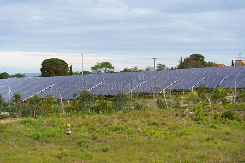 Solar Panels on the Field in Summer, Side View Stock Photo - Image of ...