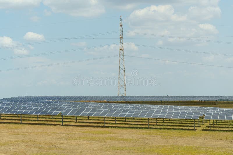 Solar Panels on the Field in Summer, Side View Stock Image - Image of ...