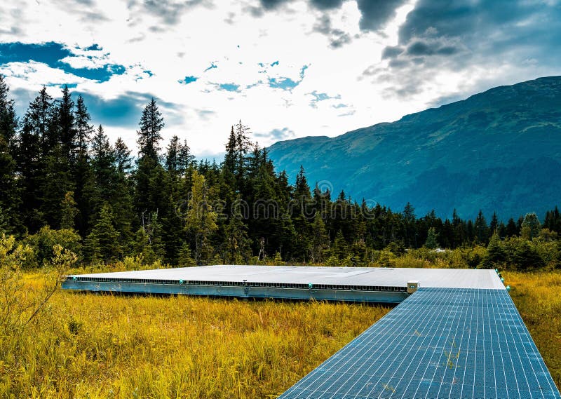 Solar Panels in a Field Surrounded by Dense Green Trees with Mountains ...