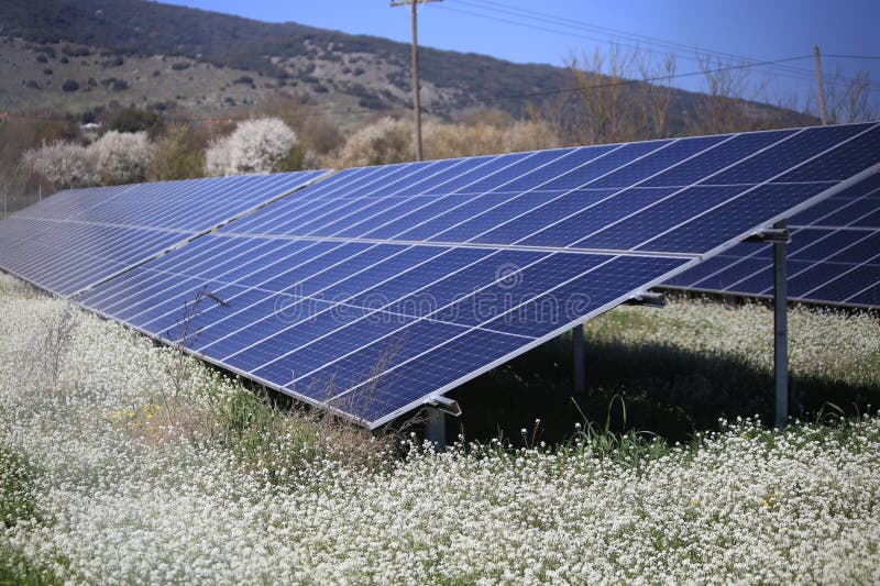 Solar Panels on the Flowers of Spring Meadow Blue Sky Stock Photo ...
