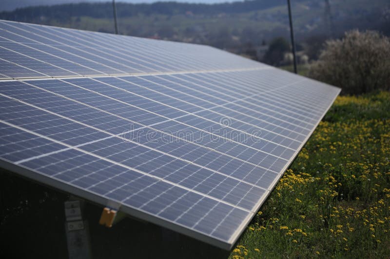 Solar Panels on the Flowers of Spring Meadow Blue Sky Stock Photo ...
