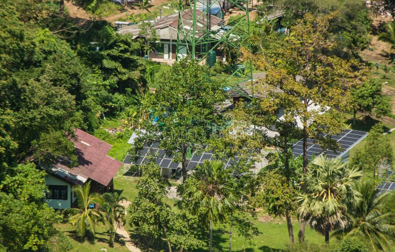 Solar Panels in the Forest among the Palm Trees. Alternative Solar ...