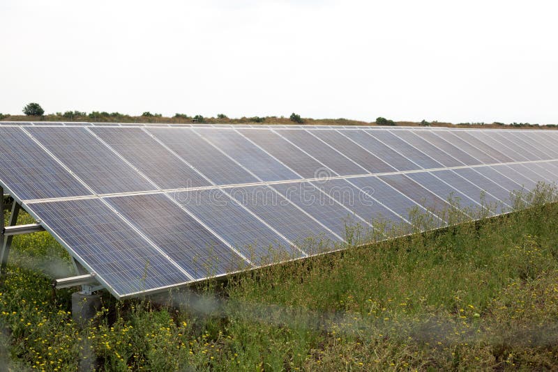 Solar Panels On Green Grass Stock Photo - Image of panels, renewable ...
