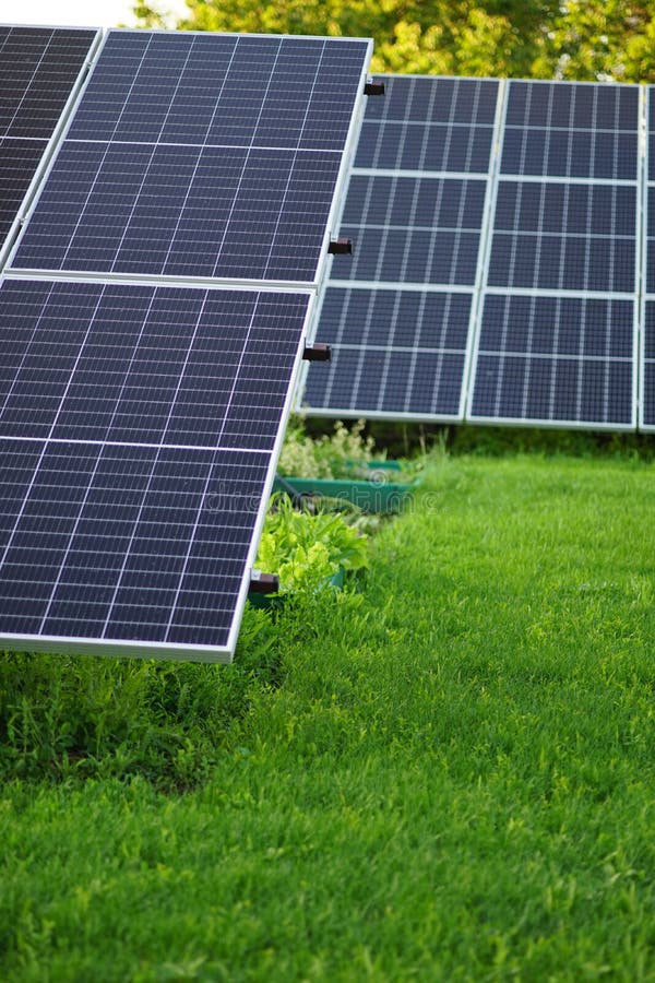 Solar Panels on the Green Grass in Summer Day Stock Image - Image of ...