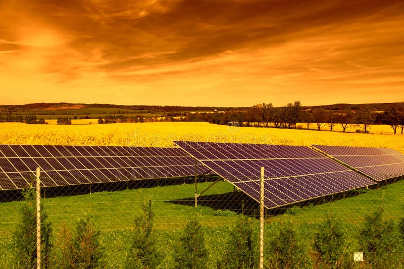 Solar Panels on Green Grass at Sunset Stock Photo - Image of production ...