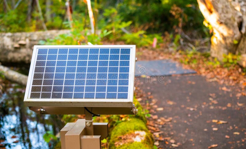 The Solar Panels are Installed in the Forest for the Illumination of ...