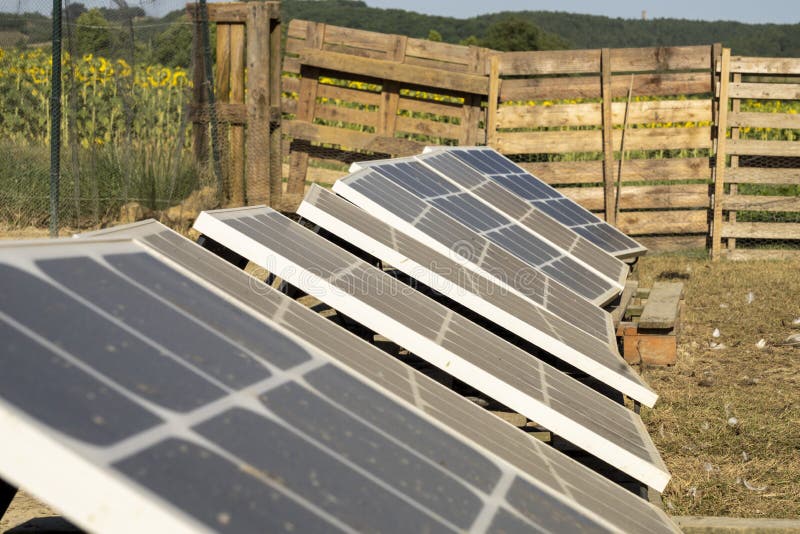 Solar Panels Installed on the Ground in a Farm Stock Photo - Image of ...