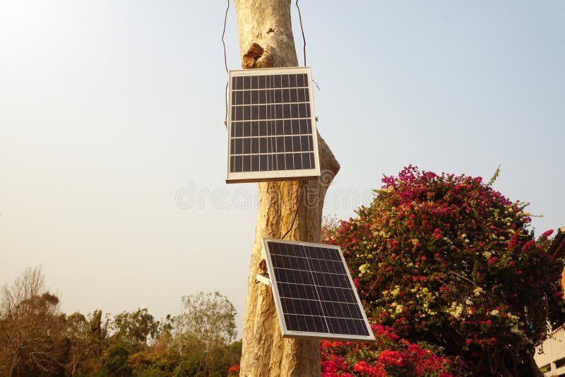 Solar Panels are Installed on the Tree. Renewable Energy Stock Photo ...