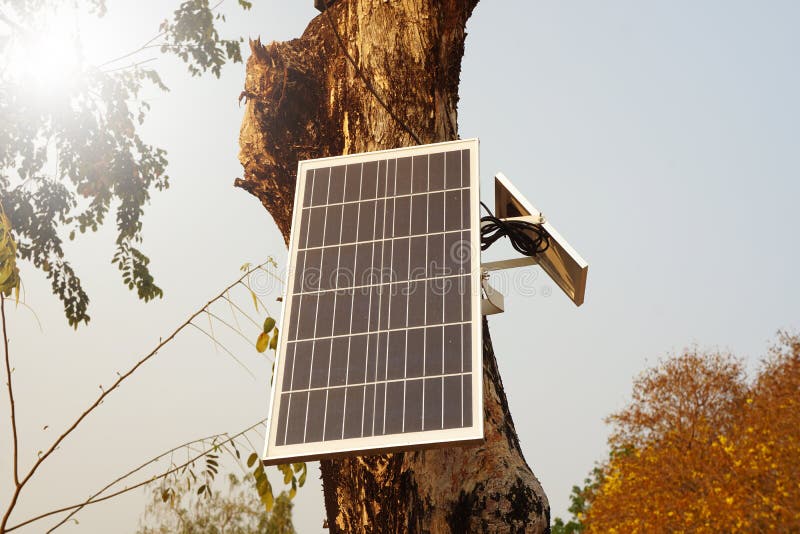 Solar Panels are Installed on the Tree. Renewable Energy Stock Photo ...