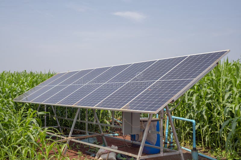 Solar Panels for Irrigation Systems in Farmer S Corn Fields Stock Photo ...