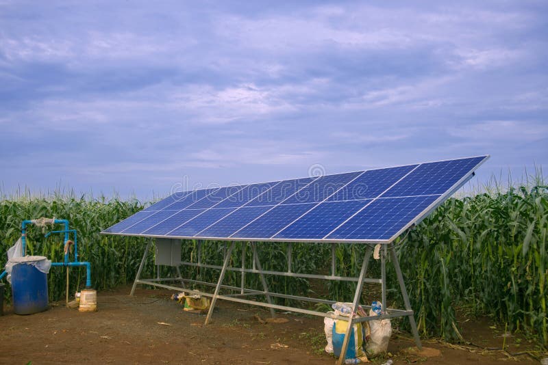 Solar Panels for Irrigation Systems in Farmer S Corn Fields Stock Image ...