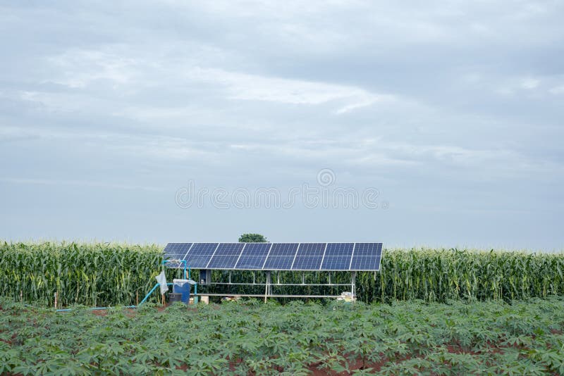 Solar Panels for Irrigation Systems in Farmer S Corn Fields Stock Image ...