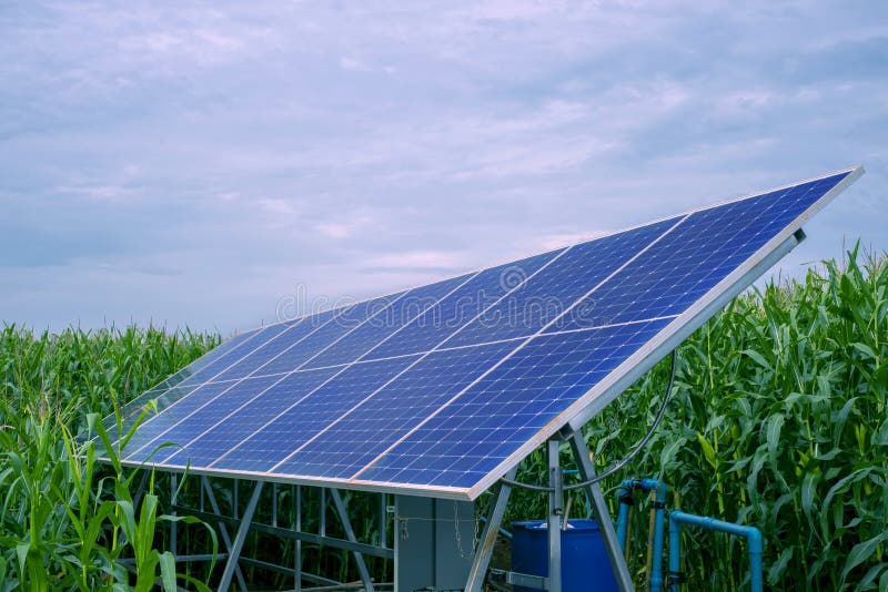 Solar Panels for Irrigation Systems in Farmer S Corn Fields Stock Photo ...