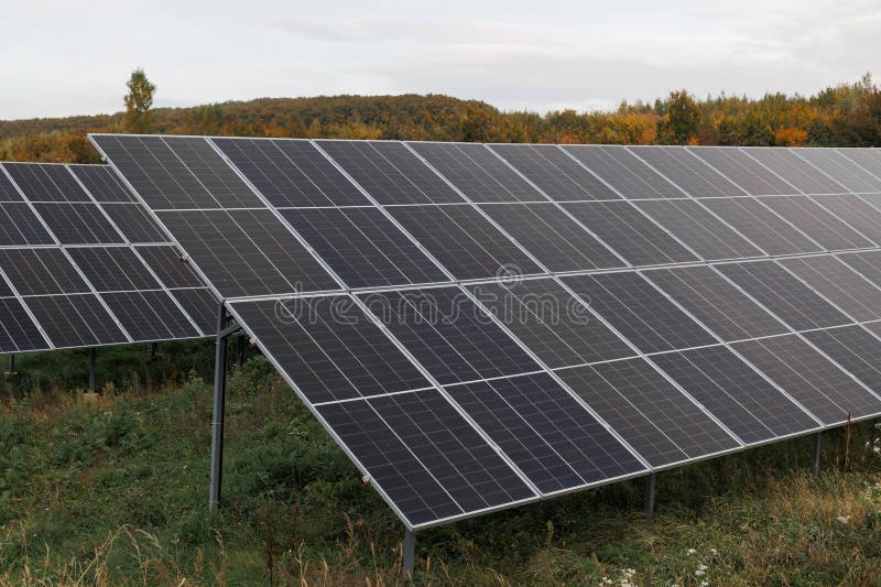 Solar Panels on Metal Framework in Sunlit Field Stock Photo - Image of ...