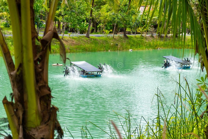 Solar Panels Mounted on Floating Platforms with Paddle Wheel Aerators ...