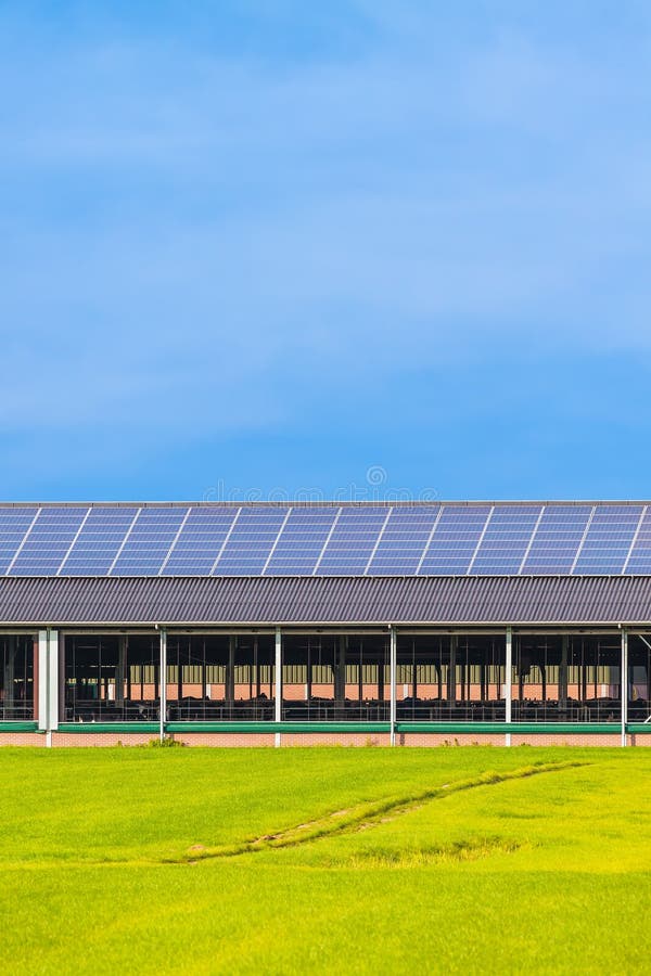 Farm: Old Red Barn with Hay Bales Stock Photo - Image of fall, bale ...