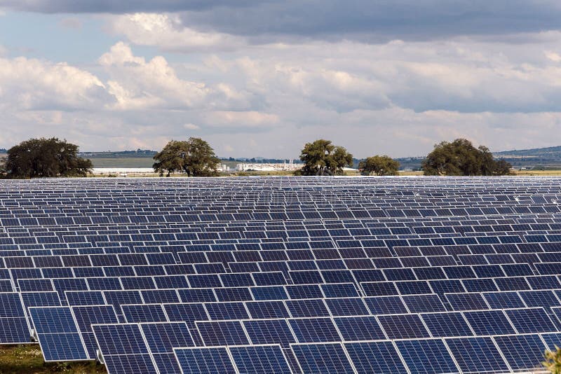 Solar Panels, Photovoltaic Modules Reflecting the Light from Sun with ...