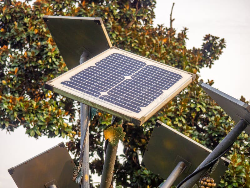 Solar Panels in the Shape of a Tree. Modern Technologies. Solar Panels ...