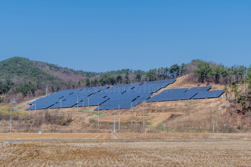 Solar Panels on Side of Hill in Countryside Stock Photo - Image of ...