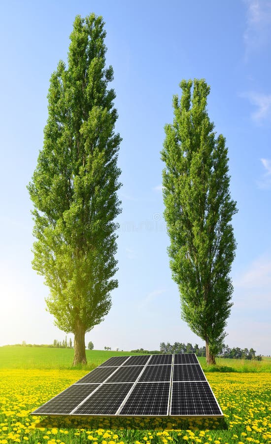 Solar Panels in Summer Landscape. Stock Image - Image of industry ...