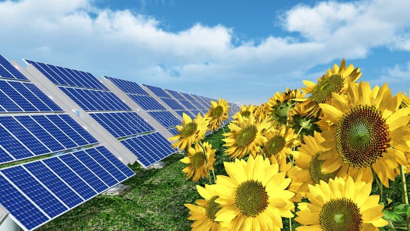 Solar Panels and Sunflowers Stock Illustration - Illustration of module ...