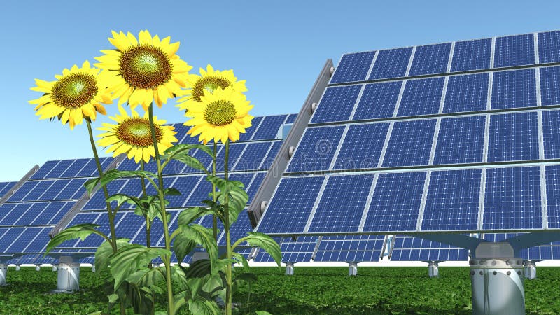 Solar Panels and Sunflowers Stock Illustration - Illustration of module ...