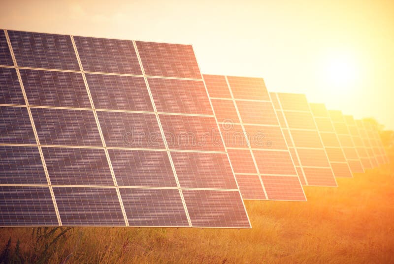 Field Of Green Energy Photovoltaic Solar Panels Sunset Or Sunrise Stock ...