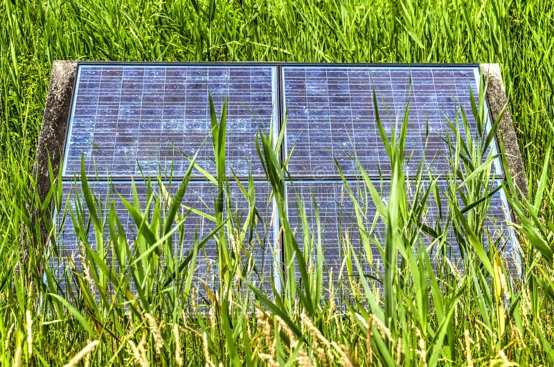 Solar panels in tall grass stock image. Image of grass - 157028271