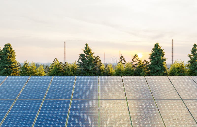 Solar Panels with Tree Around Sunset Time Stock Illustration ...